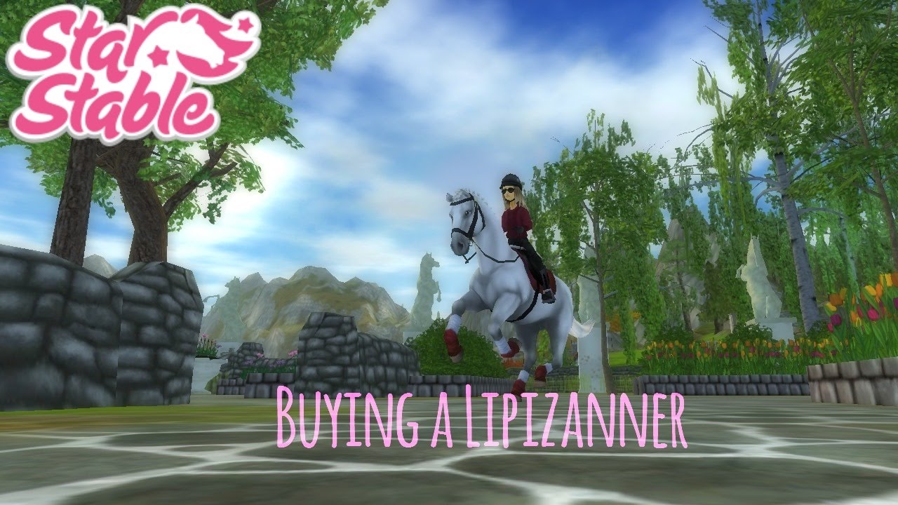 Buying a Lipizanner [SSO] - YouTube