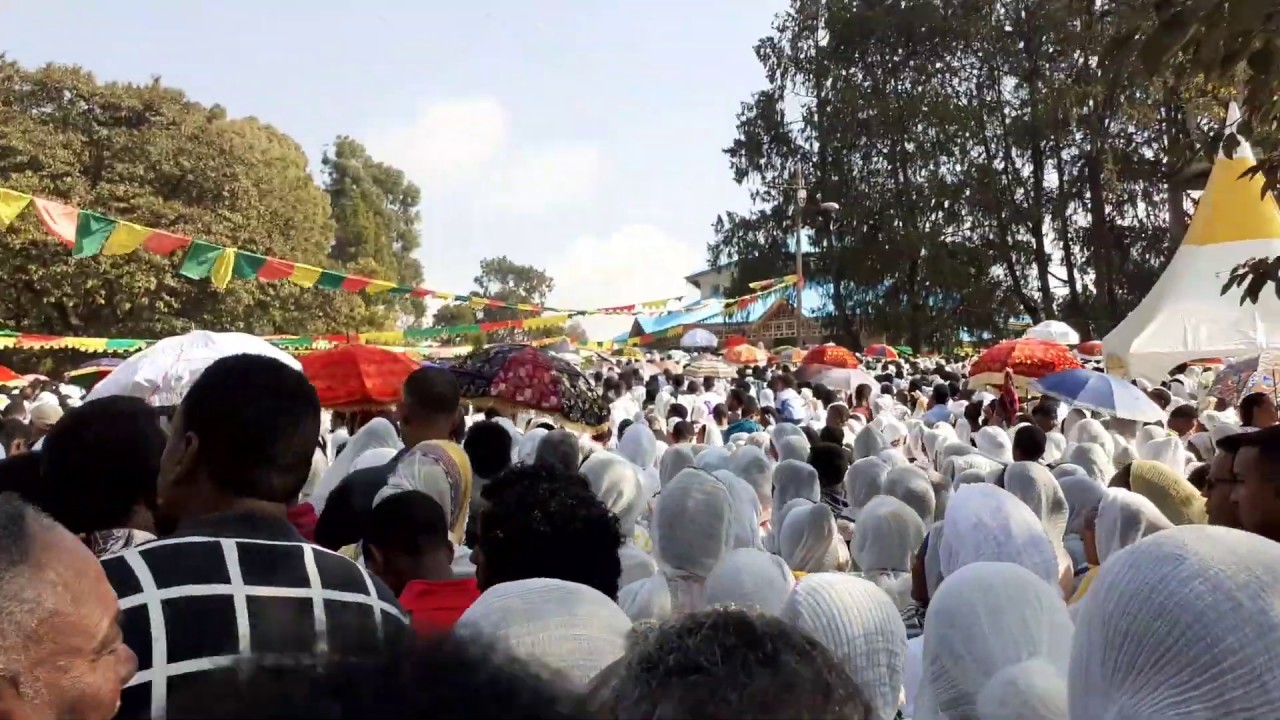 gibi geberiel - YouTube