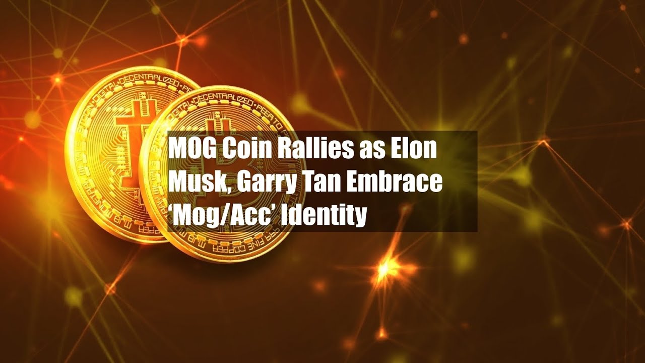 MOG Coin Rallies as Elon Musk, Garry Tan Embrace ‘Mog/Acc’ Identity ...