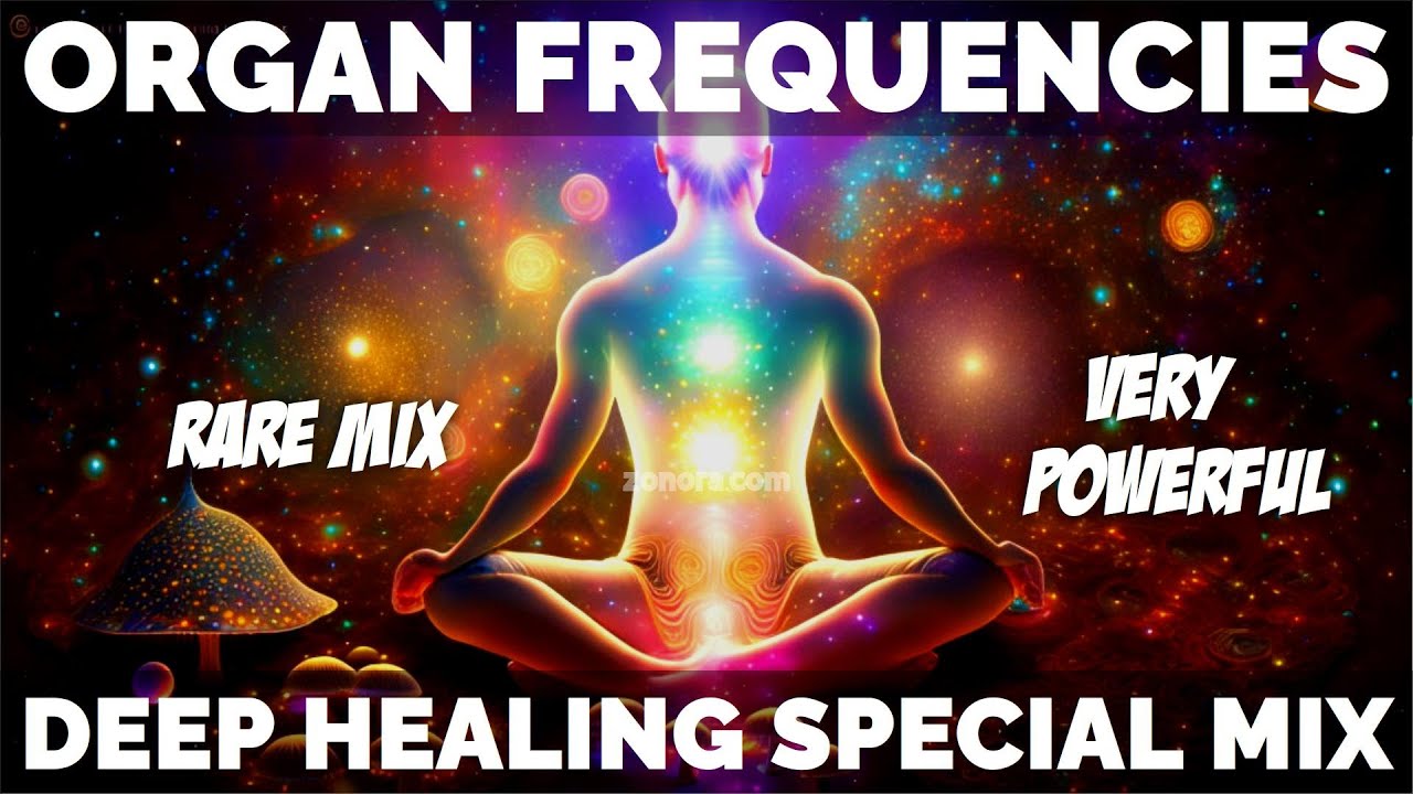 Organ Frequencies Mix in Fast Mode : Brain, Liver, Lungs, Kidney ...