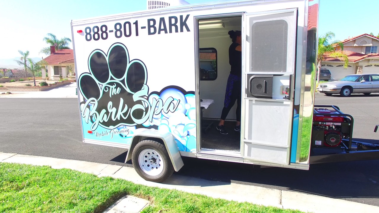 THE BARK SPA - YouTube