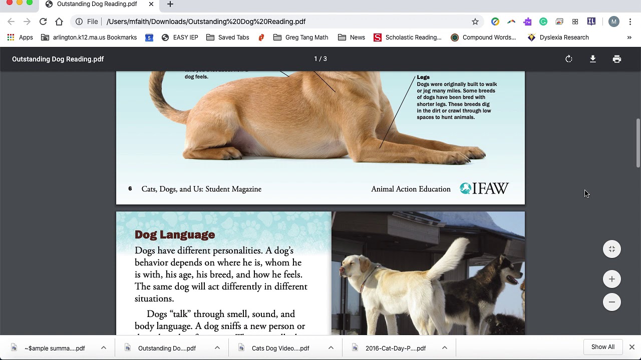 The Outstanding Dog Read Aloud - YouTube