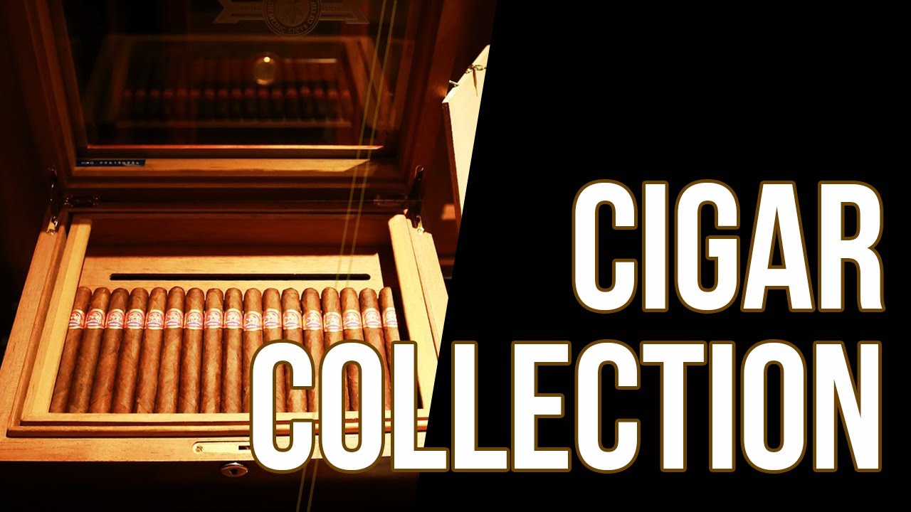Cigar Collection Showcase: Check Out My Amazing Stash! #cigarlounge # ...