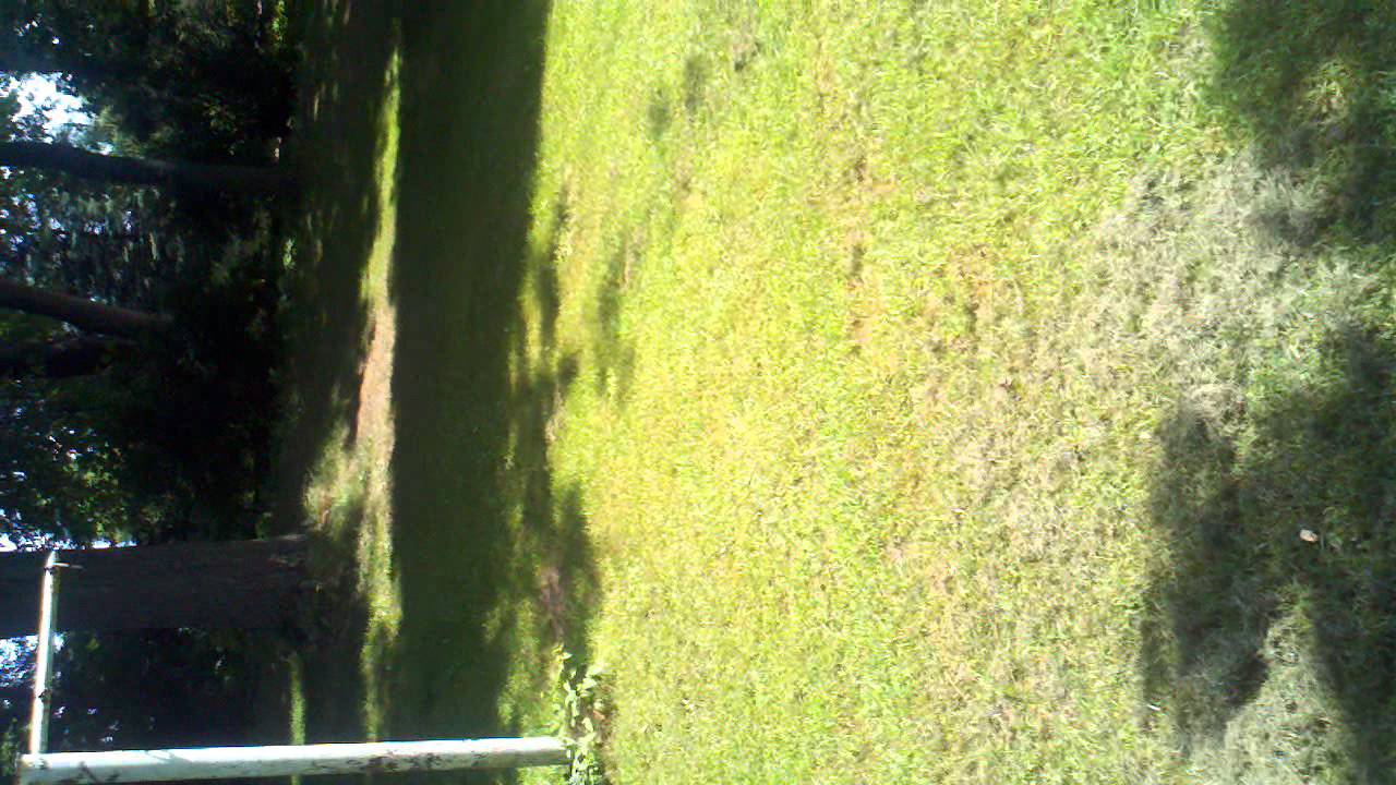 Shooting groundhog with a. 22 pistol - YouTube