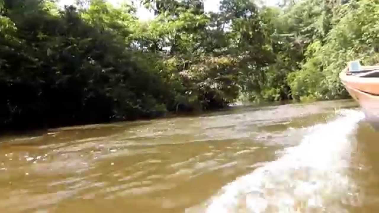 Bakaaboto Boottocht Suriname - YouTube