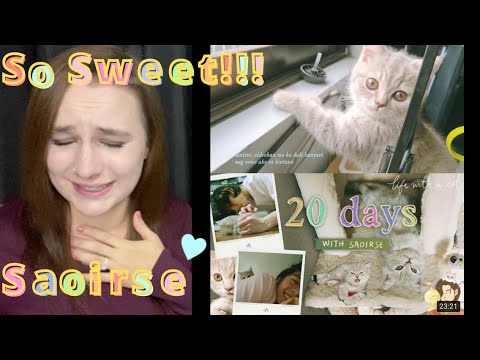 SB19 - Jah De Dios | 20 days with saoirse | life with a cat ...