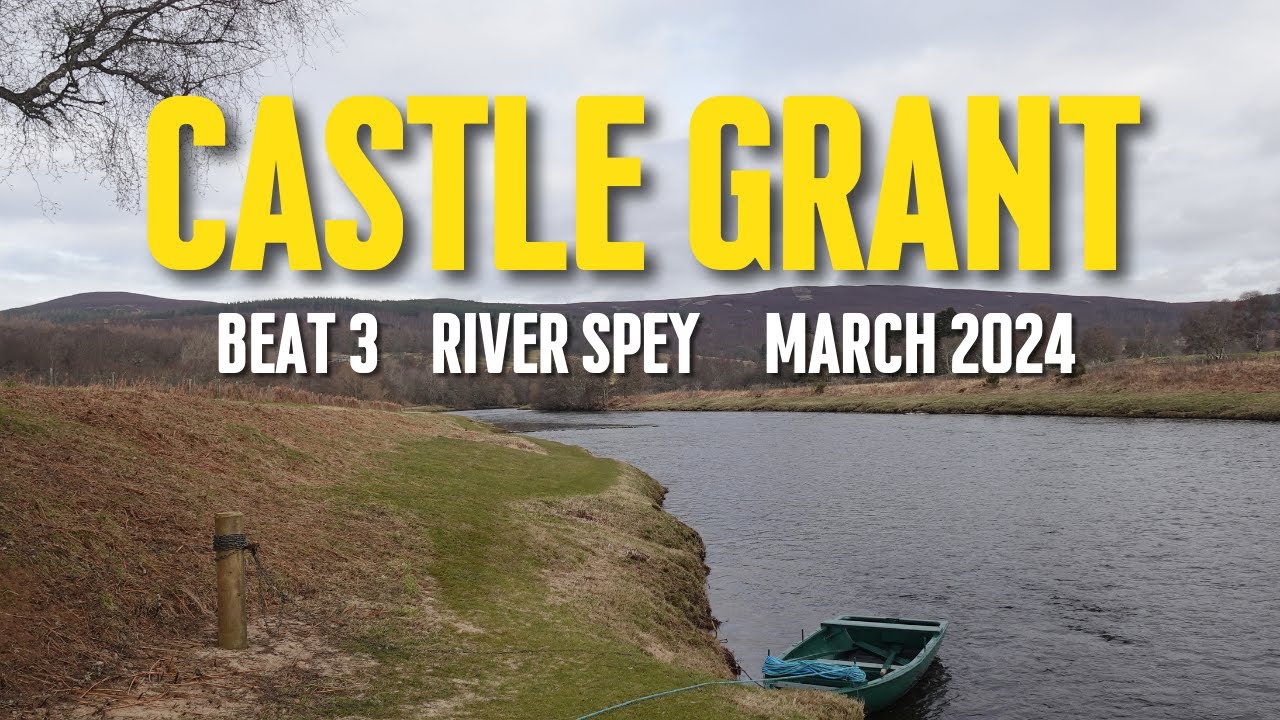 Salmon Fly Fishing | Castle Grant Beat 3 | River Spey | March 2024 - YouTube
