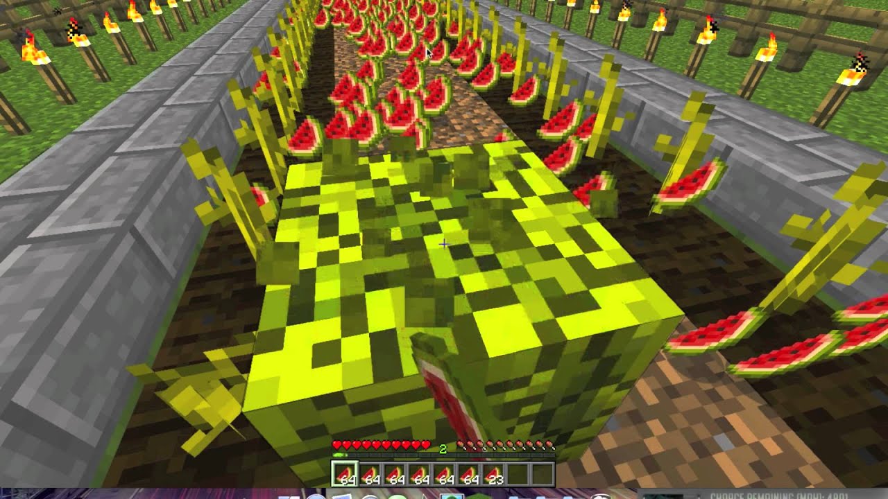 Minecraft - Watermelon Plantation - YouTube