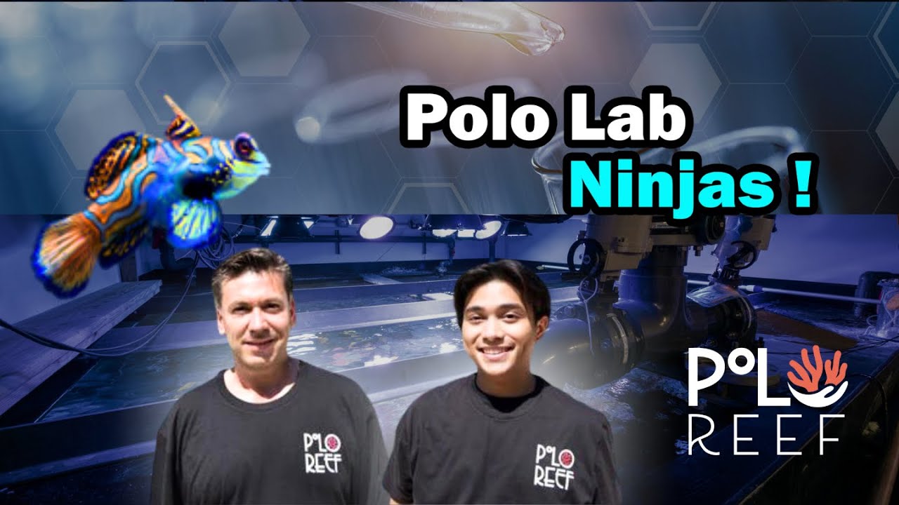 What are they doing in the Coral Lab? - YouTube