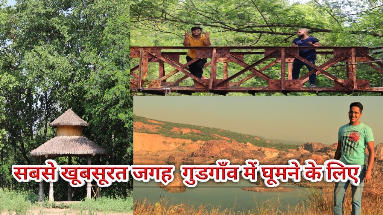 ARAVALI HILLS GURGAON | Leopard Hills || Pandala Hills gurgaon ...