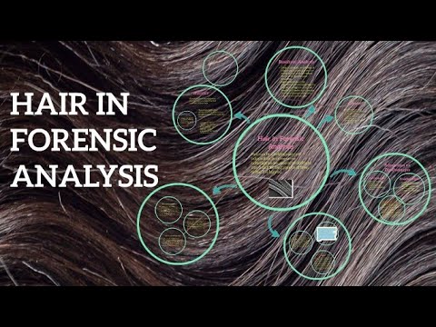 hair sample forensic law science use technic evidence value limit scope ...