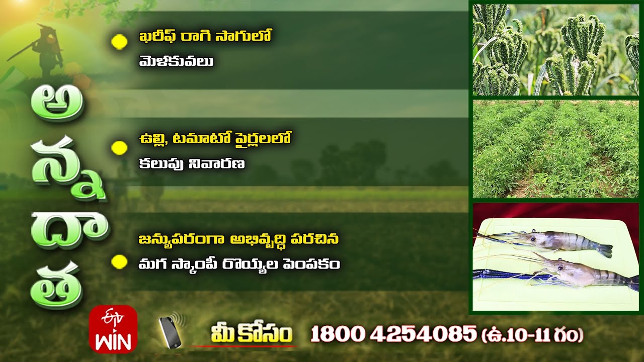 23rd July 2023 | Annadata | అన్నదాత | Full Episode | ETV Telugu - YouTube
