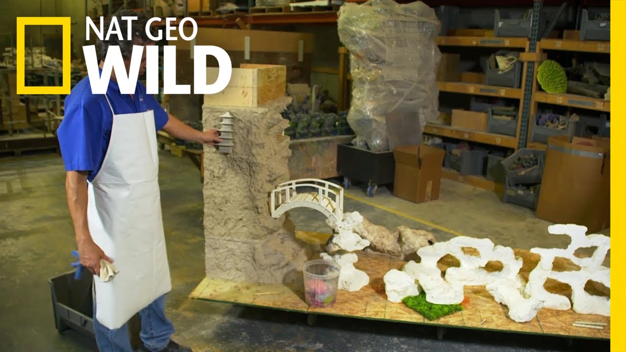 Double the Fun | Fish Tank Kings - YouTube