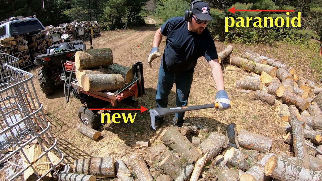 Snakes and Wasps Try Chasing Me Out of the Woodpile - YouTube