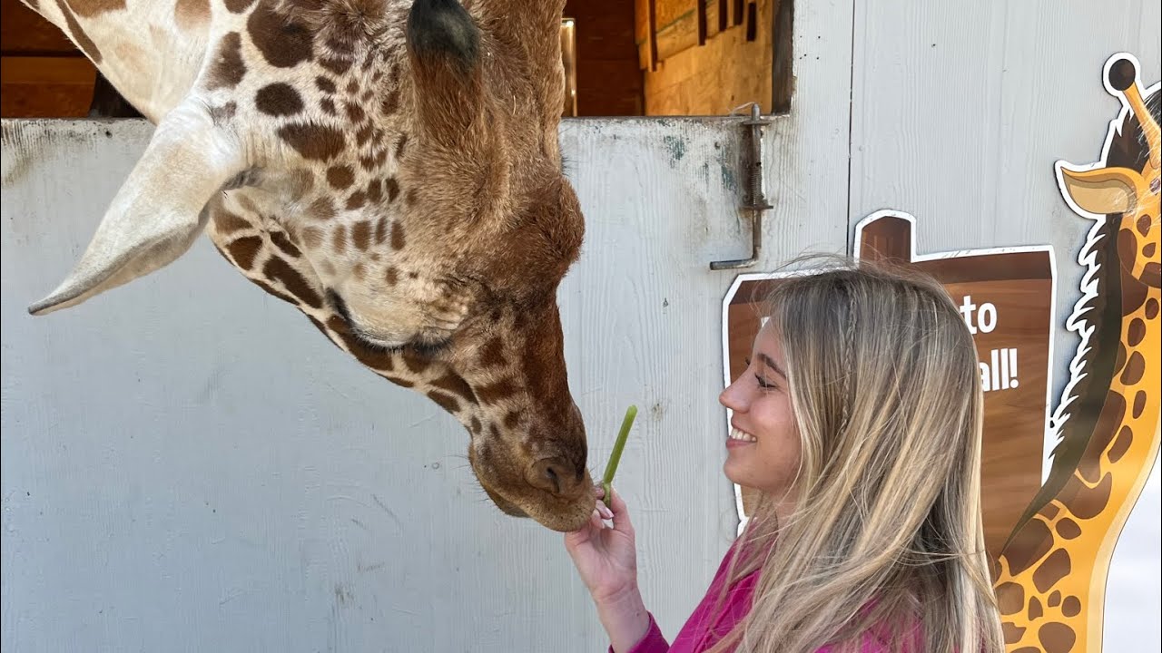 senior spring break! - YouTube