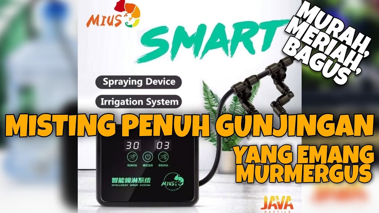 MIUS MISTING System, Reptile, Paludarium, Terrarium, Dartfrog - YouTube