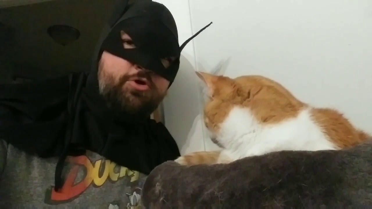 Bat Beard Works Out. Day 35/100 - YouTube