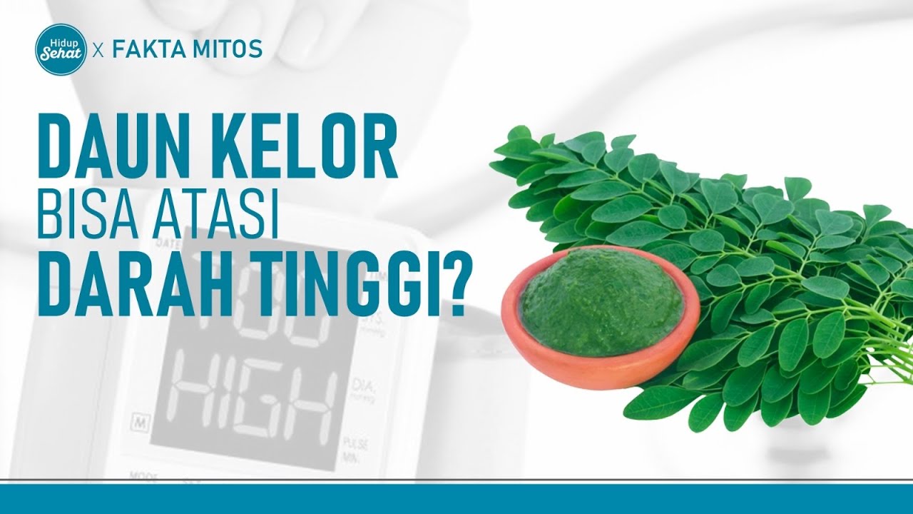 Manfaat Daun Kelor, Bisakah Atasi Darah Tinggi | Hidup Sehat tvOne ...