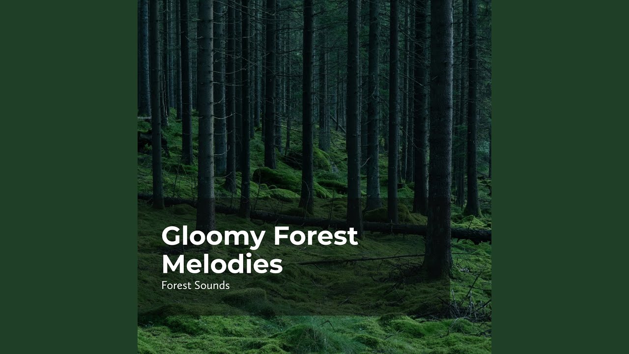 Tangled Wilderness - YouTube