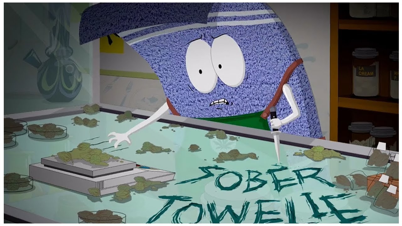 TOALLIN SE VUELVE LOCO | South Park - Retaguardia en Peligro - Parte 8 ...