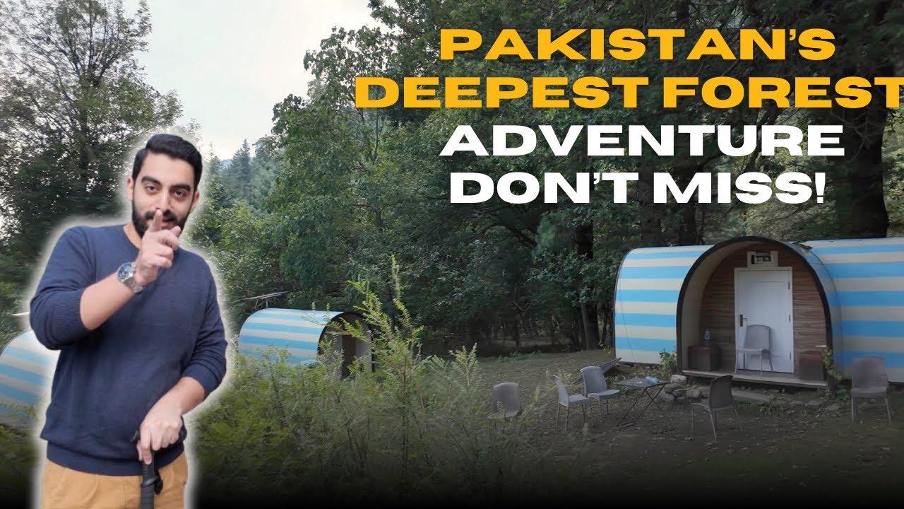 Extreme Offroad Track to Deep Wild Sharan Forest Kaghan Valley ...