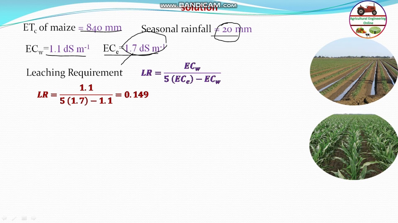 Leaching Requirement for Maize Crop GATE AG 2015 Q-47 - YouTube