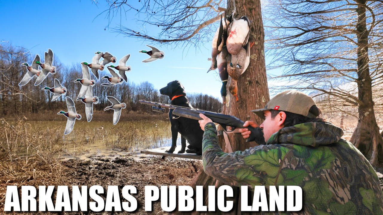 SOLO Late Season Duck Hunting with my Dog! - YouTube