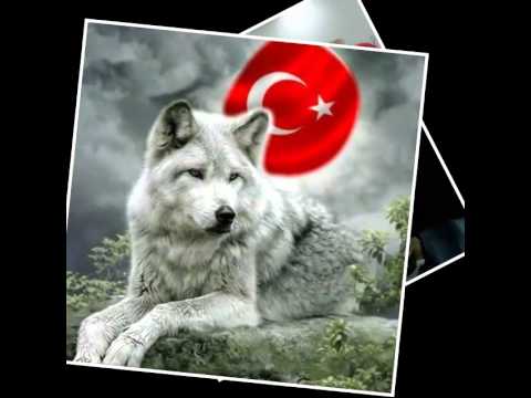 HACI RIZA SÜLALESİ