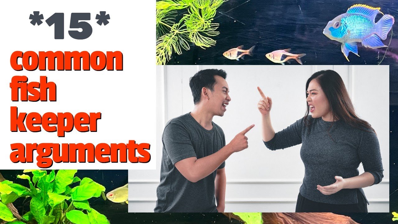 Don't *WASTE YOUR TIME* Arguing about these 15 Topics with Other Fish ...