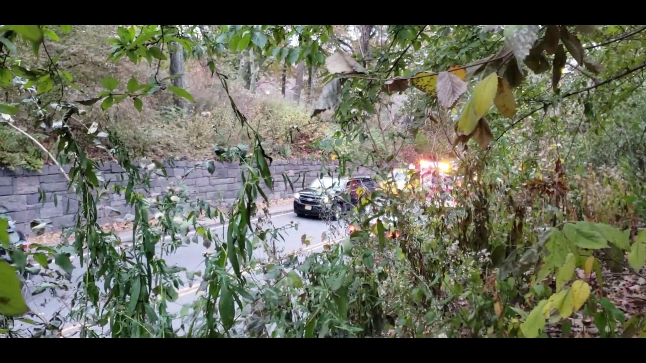 FDNY EMS Responding With Rumblers On West 65th Street Transverse In ...