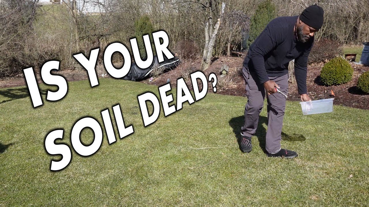 Dead Soil? - The First Step To to Bring Your Soil Back To Life. - YouTube