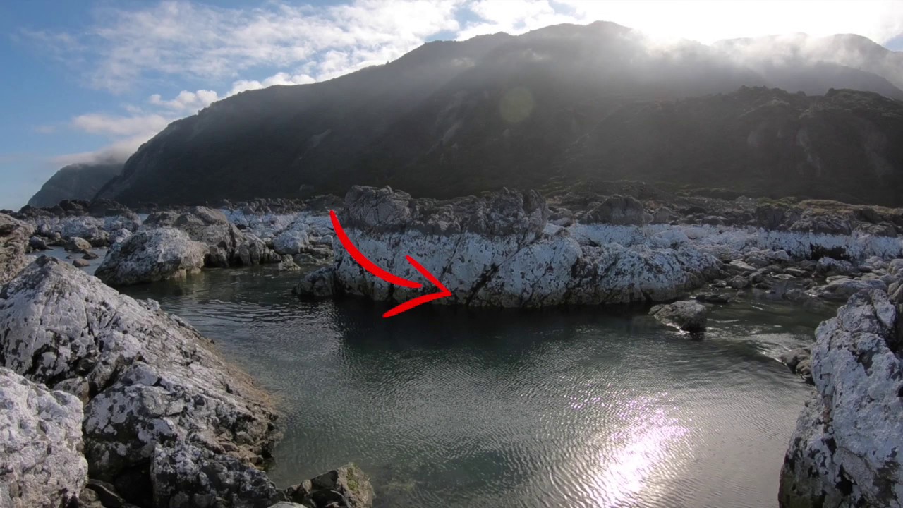 Kaikoura Dive Spot - Before and After Earthquake - YouTube