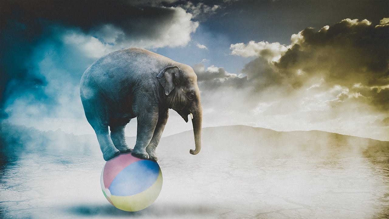 Elephant Playing With The Ball | Photo Manipulation Tutorial - YouTube