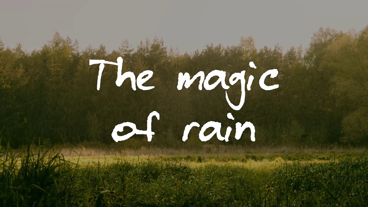 #Rain#Relax#The_magic_of_rain#Дождь#Магия_дождя - YouTube