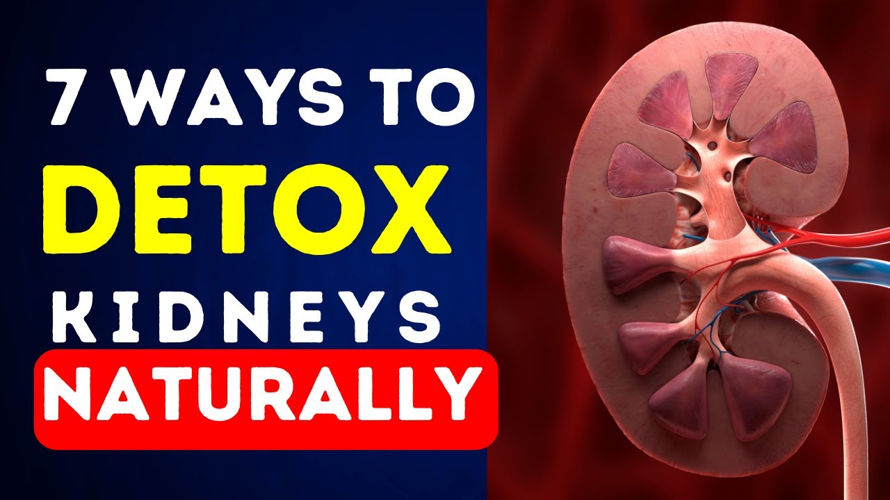 7 Ways to Detox and Cleanse Your Kidneys Naturally Tips and Examples ...