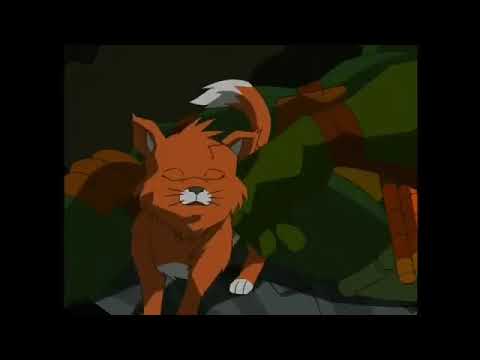 TMNT 2003 Leo Finds Mikey and Klunk