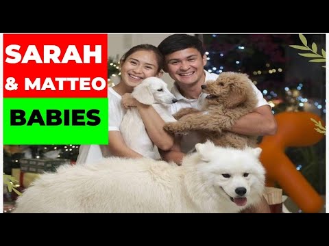 SARAH GERONIMO'S BABIES | DOG TRAINING - YouTube