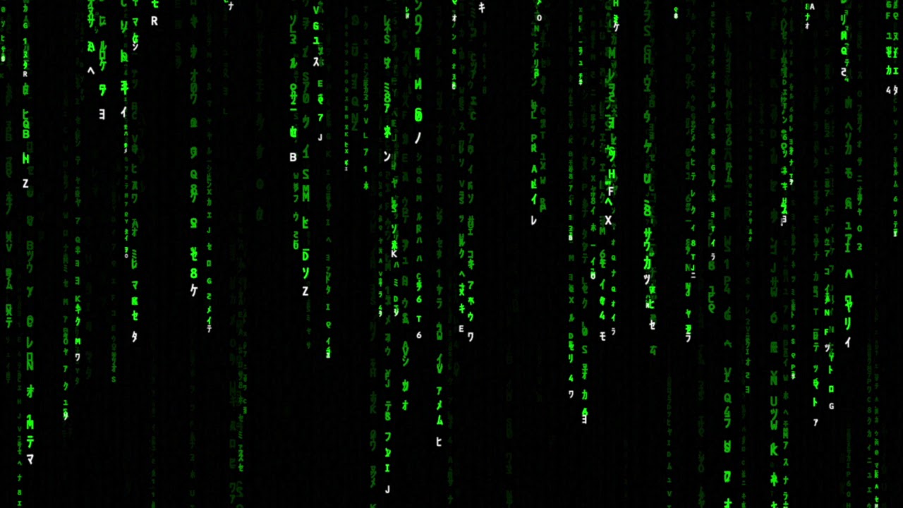 Rain Sound for Coding (10 HOURS) I Matrix Digital Rain Code I White ...