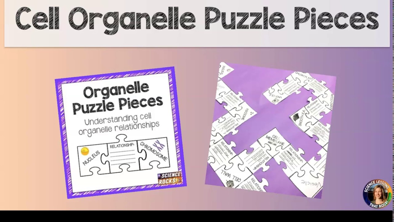 Organelle puzzle pieces - YouTube