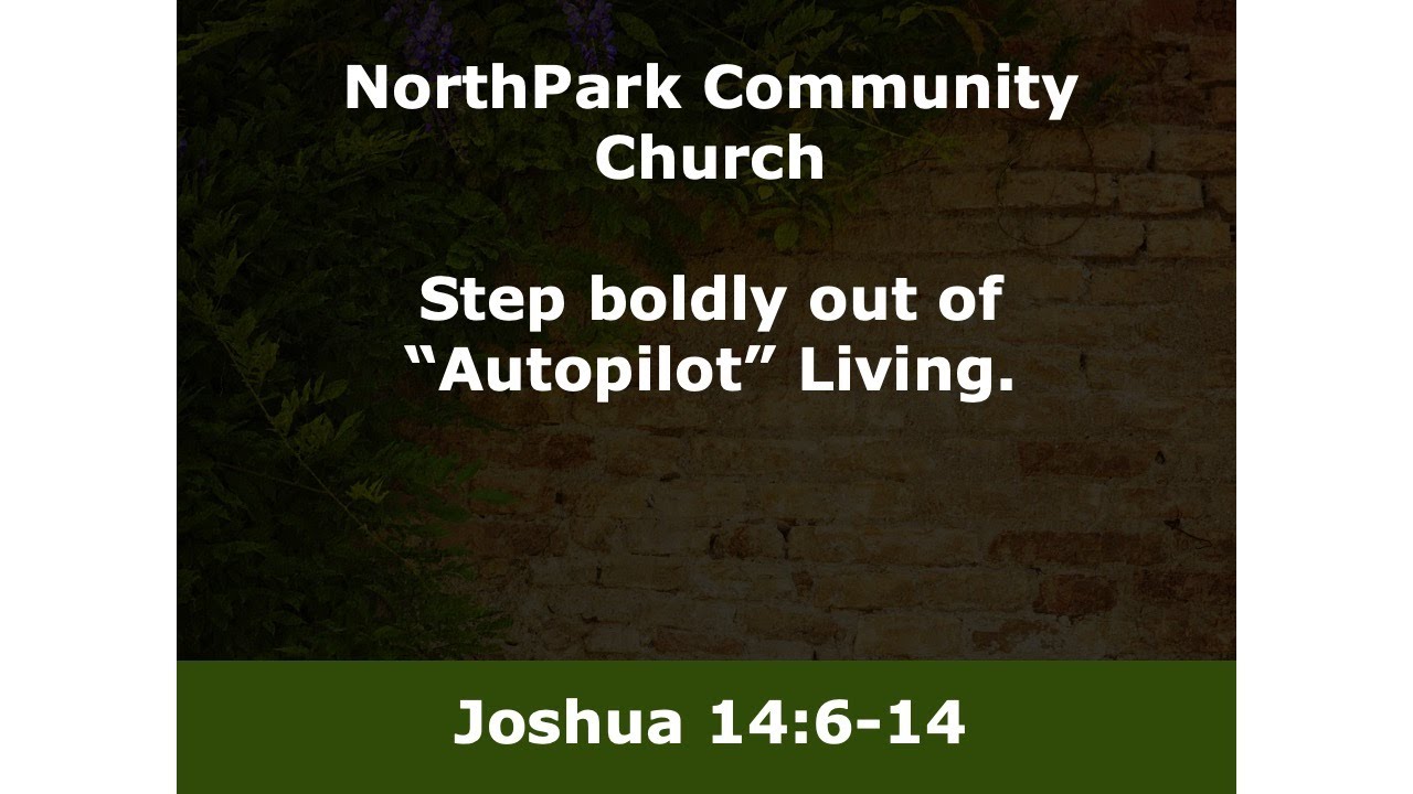 Step Boldly Out of "Autopilot" Living - YouTube