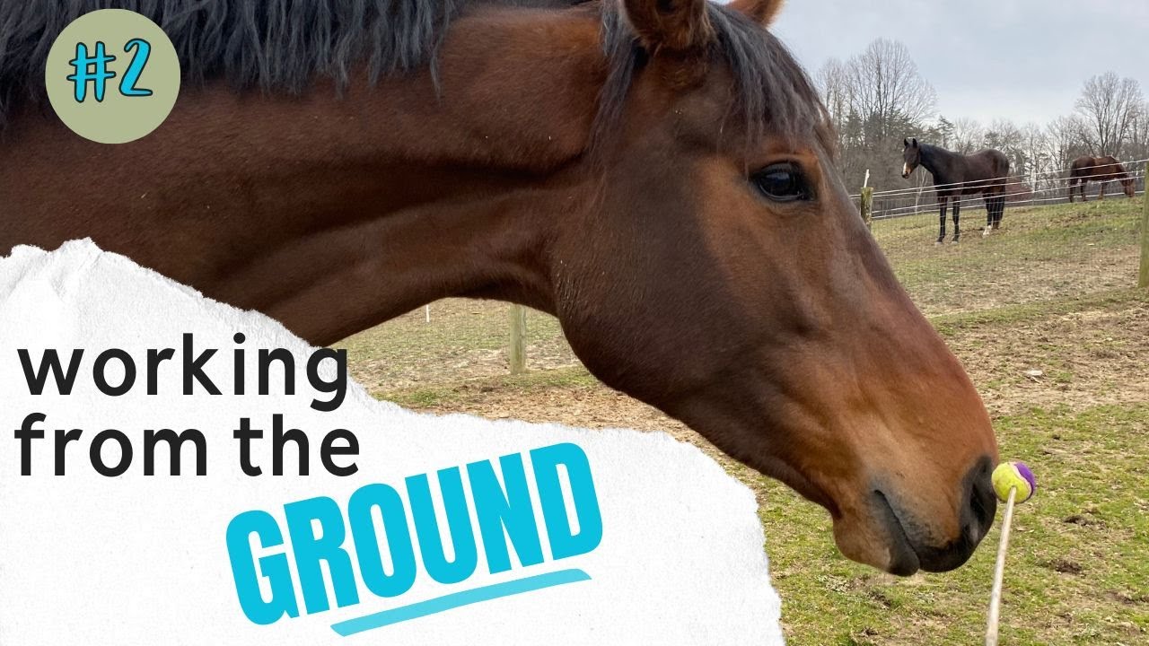 Mastering The Basics of Groundwork: Self-Organization Techniques - YouTube