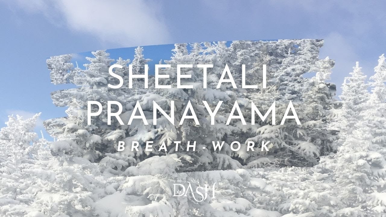 Sheetali Pranyama for Cooling | My Daily Dash - YouTube
