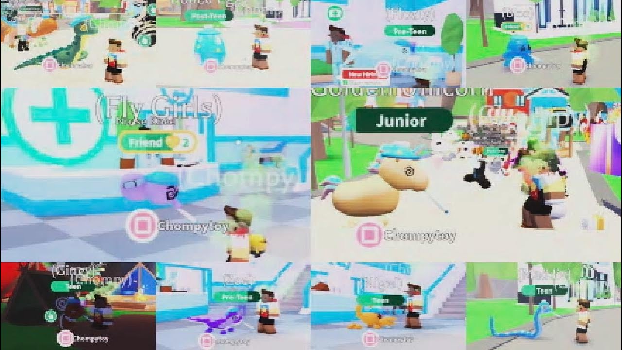 Roblox Adopt Me All Sick Animal to the Hospital Extended - YouTube