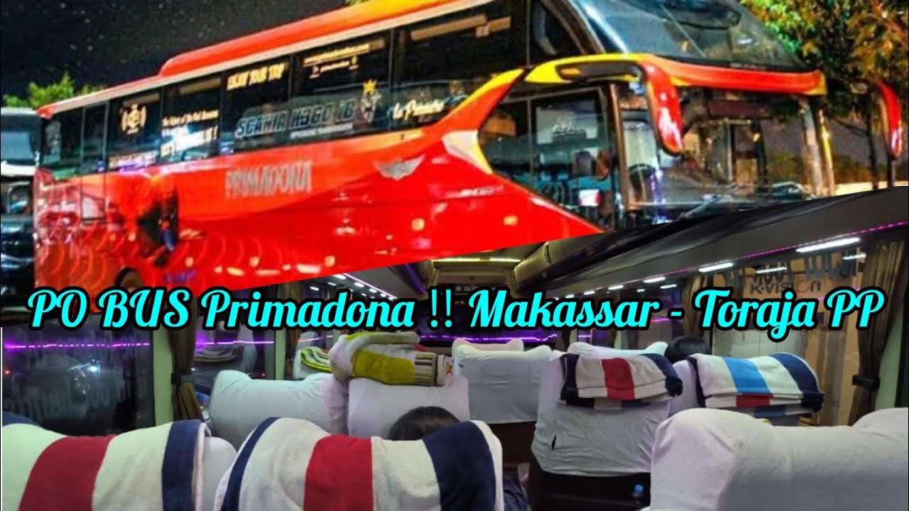 TORAJA - MAKASSAR ‼️ PO BUS PRIMADONA 🚌 LA PRIEMERE || SEAT FULL DENGAN ...