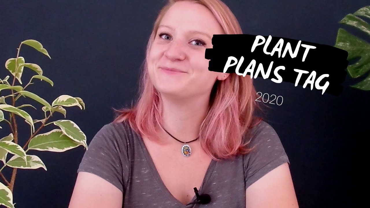 2020 Plant Plans Tag - YouTube