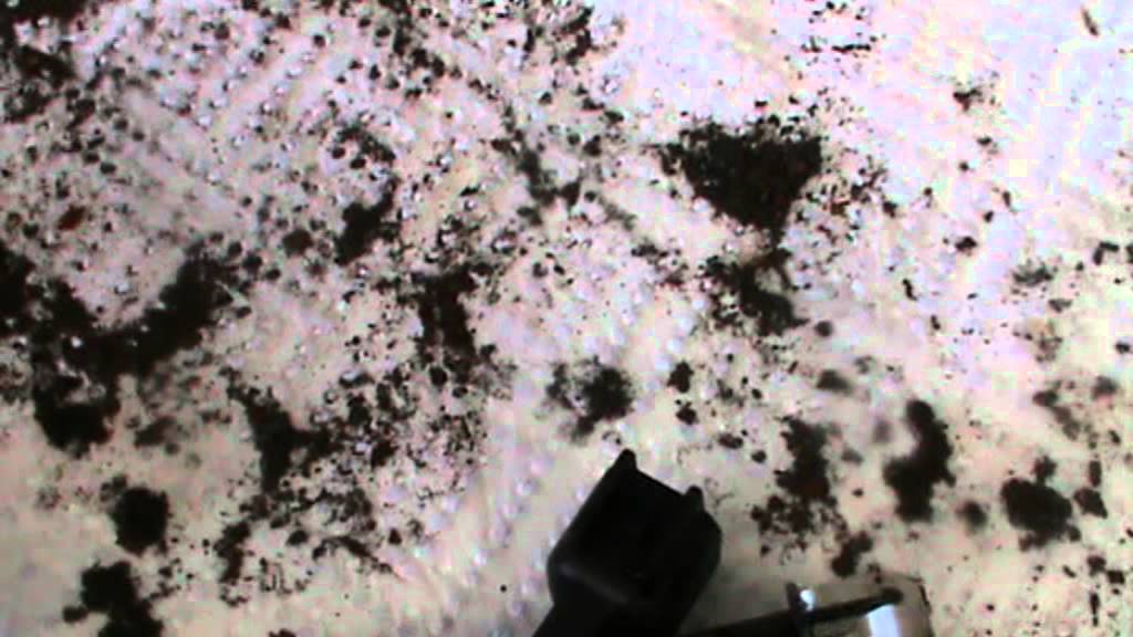 Testing Fuel Injectors (Pulse,Spray Pattern,Leak Test,Back Flush) - YouTube