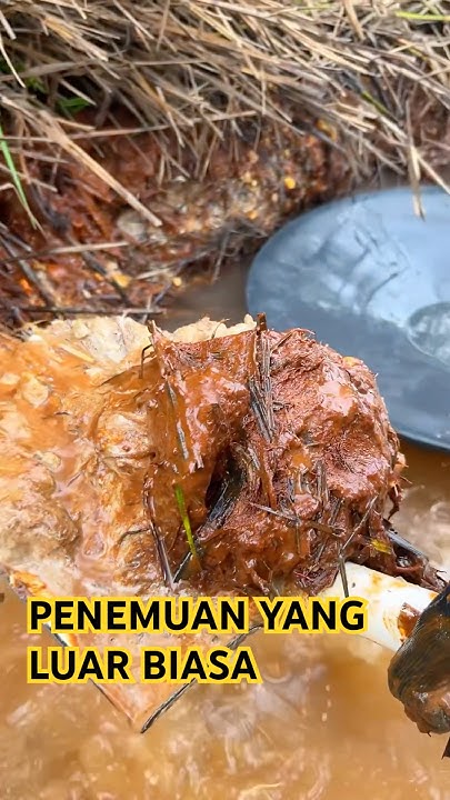 PENEMUAN HARTA KARUN DI BALIK SEMAK BELUKAR!!!HASIL NYA $12000 #goldhunter - YouTube