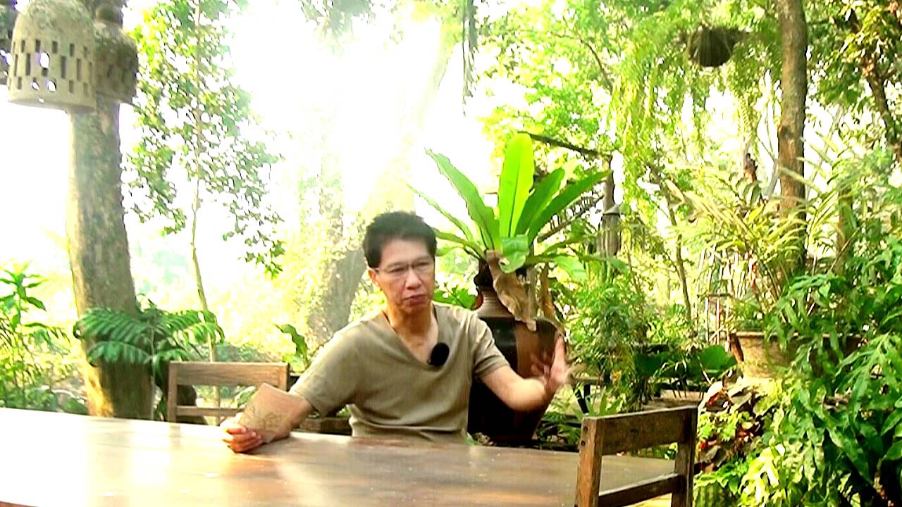 Introduction of Fern Paradise ( New).mp4 - YouTube