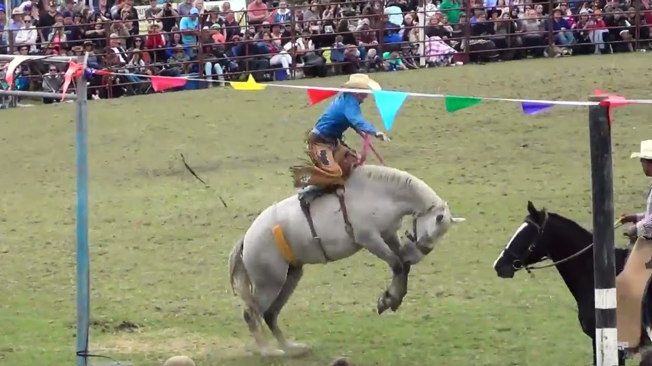 AUSTRALIA, VICTORIA, Lang Lang rodeo - YouTube