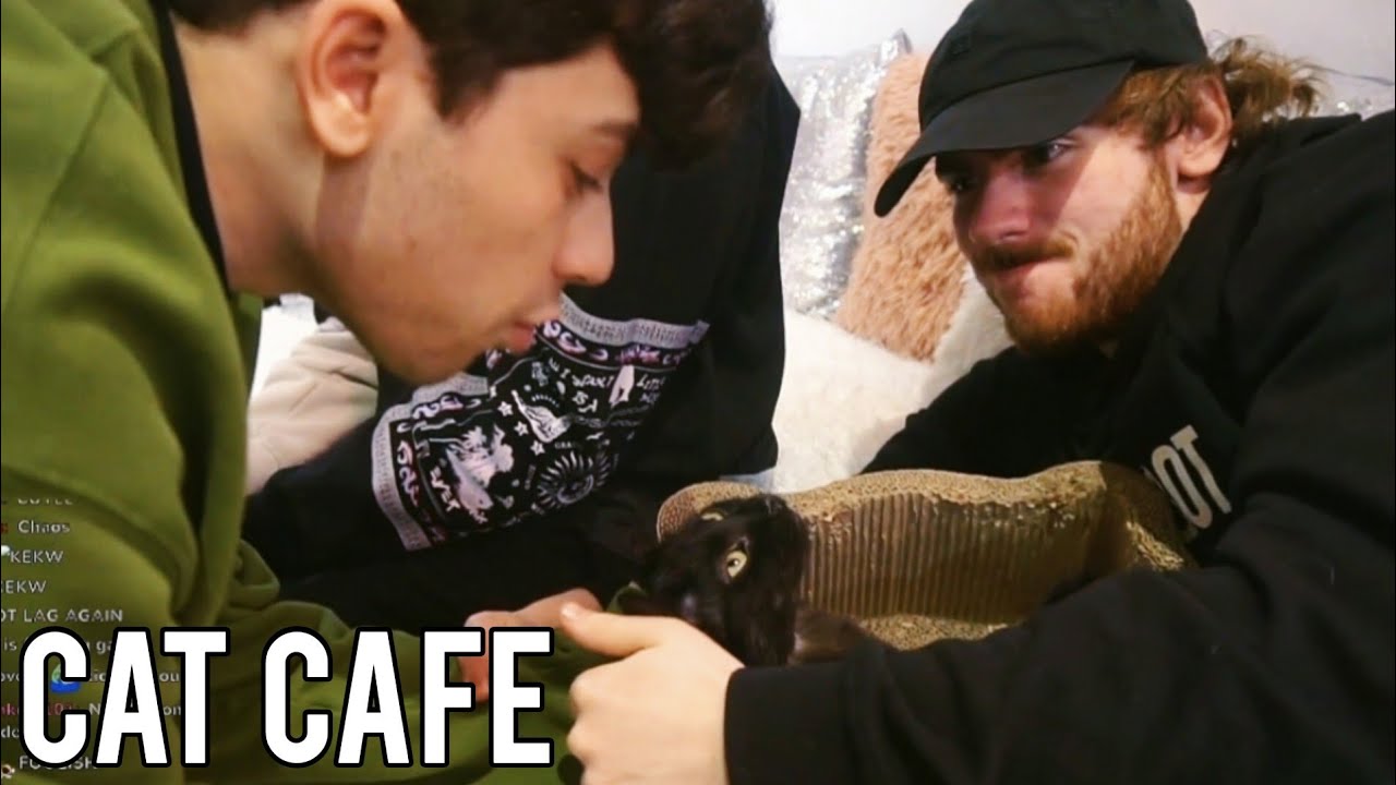 George And Sapnap Moments From Sylvee's Cat Cafe Stream - YouTube